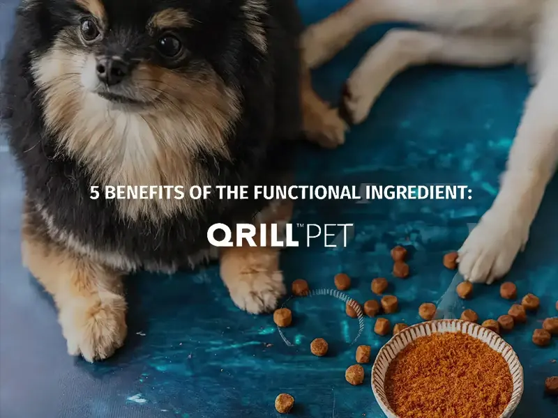 5 Health benefits of QRILL Pet Video | QRILL Pet