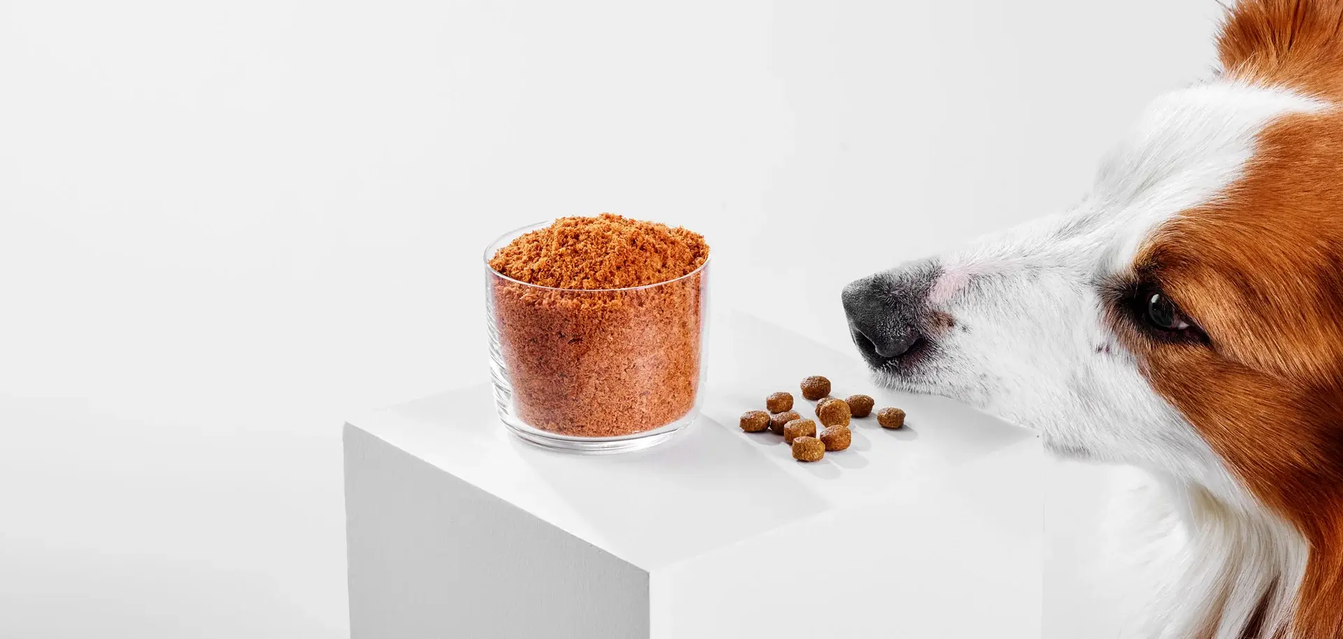 Exploring Claims and Concepts With QRILL Pet PL Nutri Plus