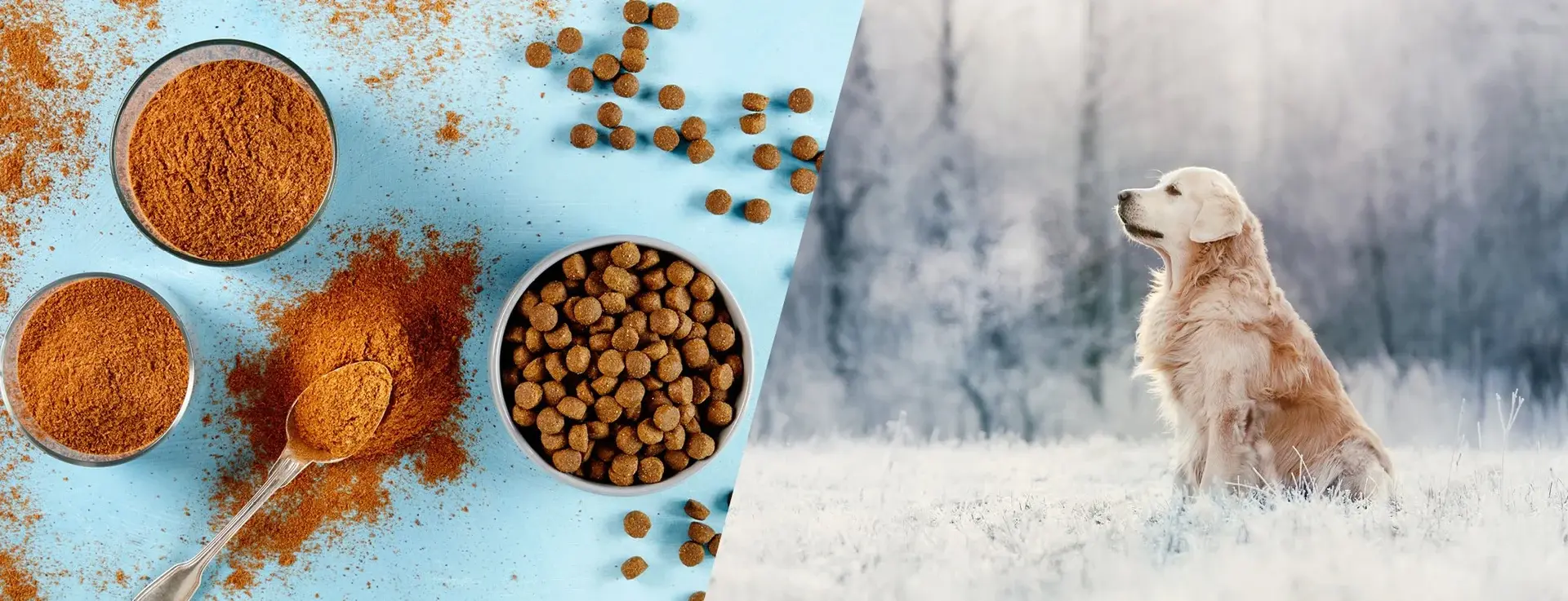 Aker BioMarine Secures FDA Approval For QRILL Pet In The US